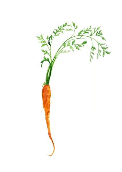 Download 123478 600 - Full Size PNG Image - PNGkit