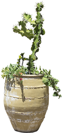 Download Transparent Potted Plants Clipart Transparent Background - Big ...