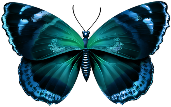 Download Blue Butterfly Png - Blue Butterfly Transparent - Full Size ...