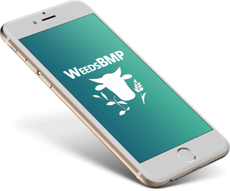 Download Floating Iphone Png - Full Size PNG Image - PNGkit