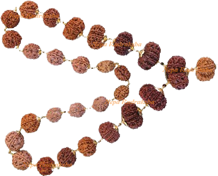 Download Siddha Mala Large - Japamala - Full Size PNG Image - PNGkit