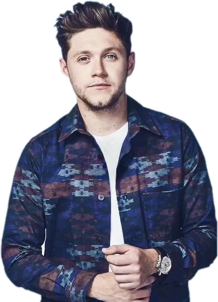 Download Niall Horan Magazine Cover - Full Size PNG Image - PNGkit
