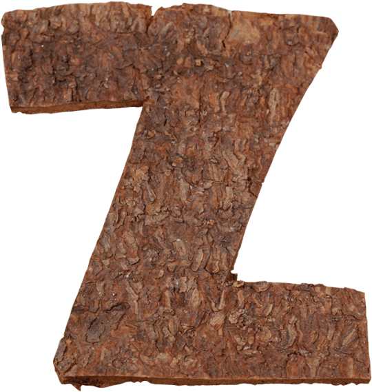 Download Bark On Wood Typography Tree - Cross - Full Size PNG Image ...