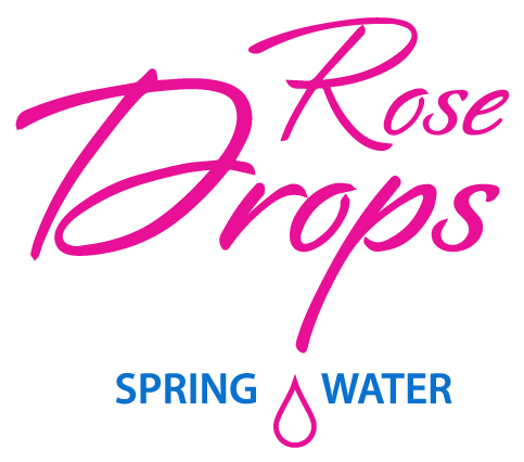 Download Rose Drops Water - Full Size PNG Image - PNGkit