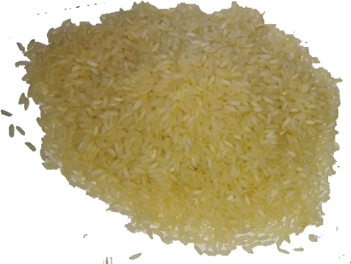 Download 3350-500x500 - Sona Masuri - Full Size PNG Image - PNGkit