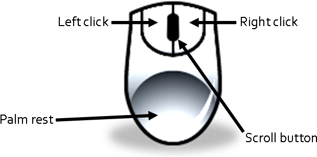 Download Computer - Parts Of Mouse - Full Size PNG Image - PNGkit