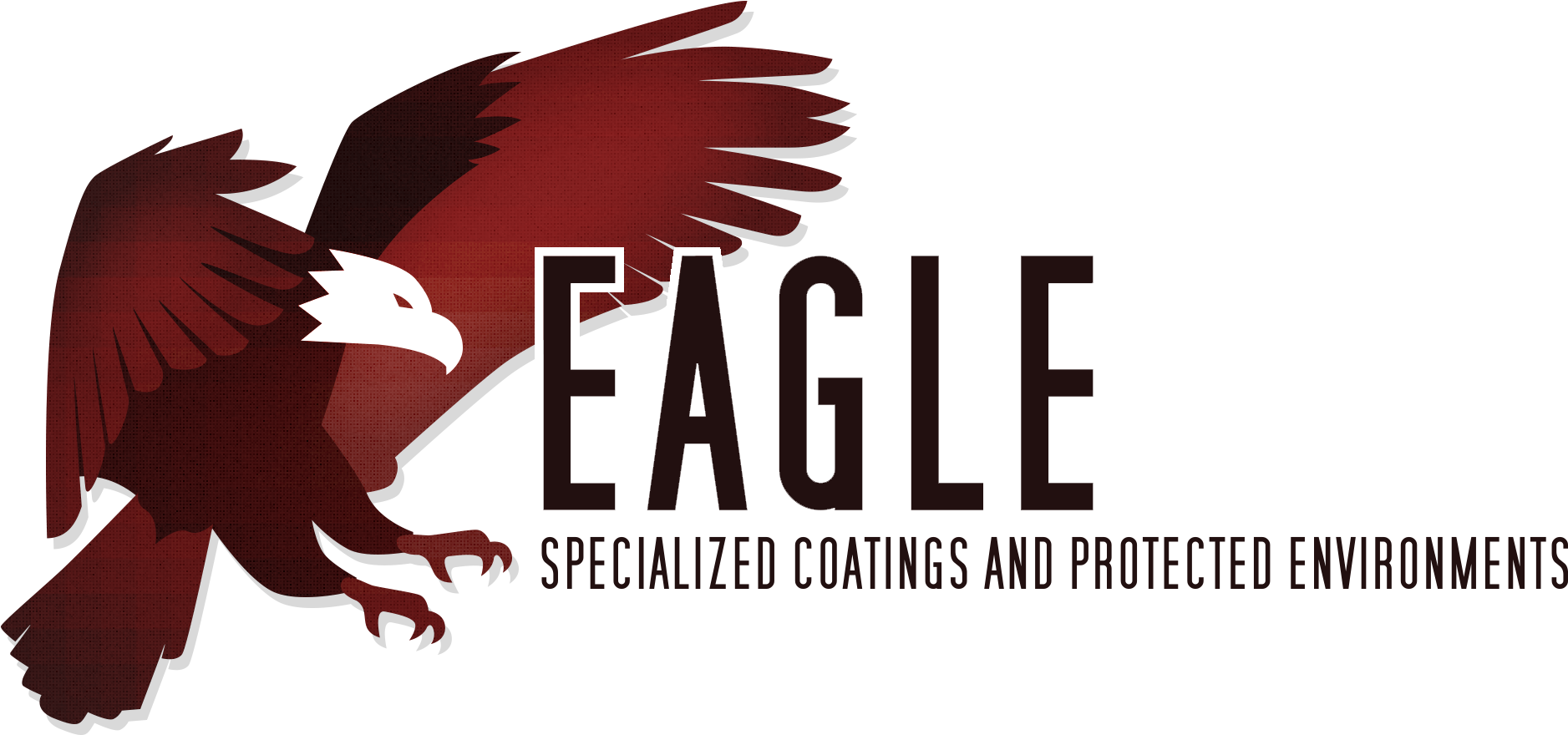 Download Bald Eagle - Full Size PNG Image - PNGkit