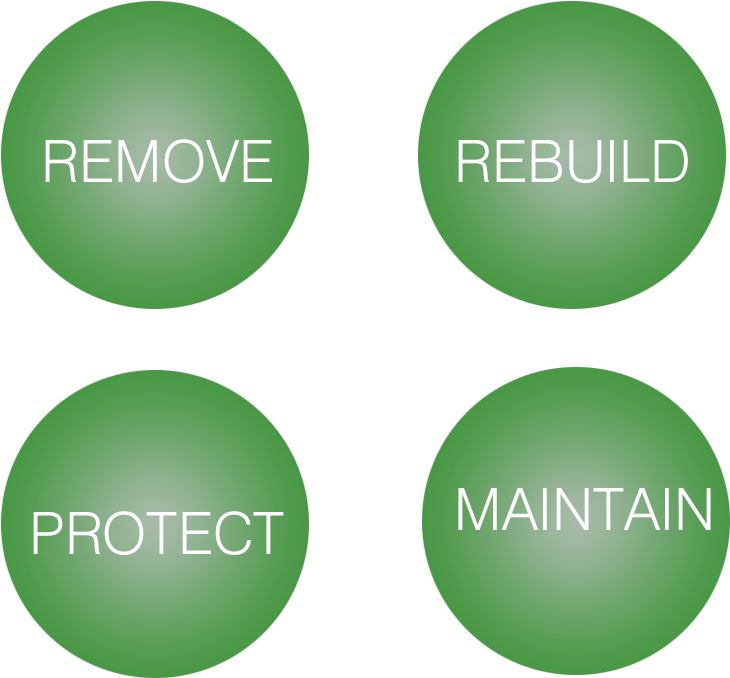 Download Dmk Muscle Banding Treatments Incorporate Three Enzyme - Icon ...