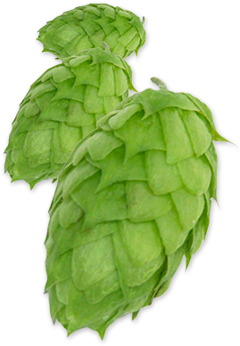 Download Mosaic® Pellet Hops - Common Hop - Full Size PNG Image - PNGkit
