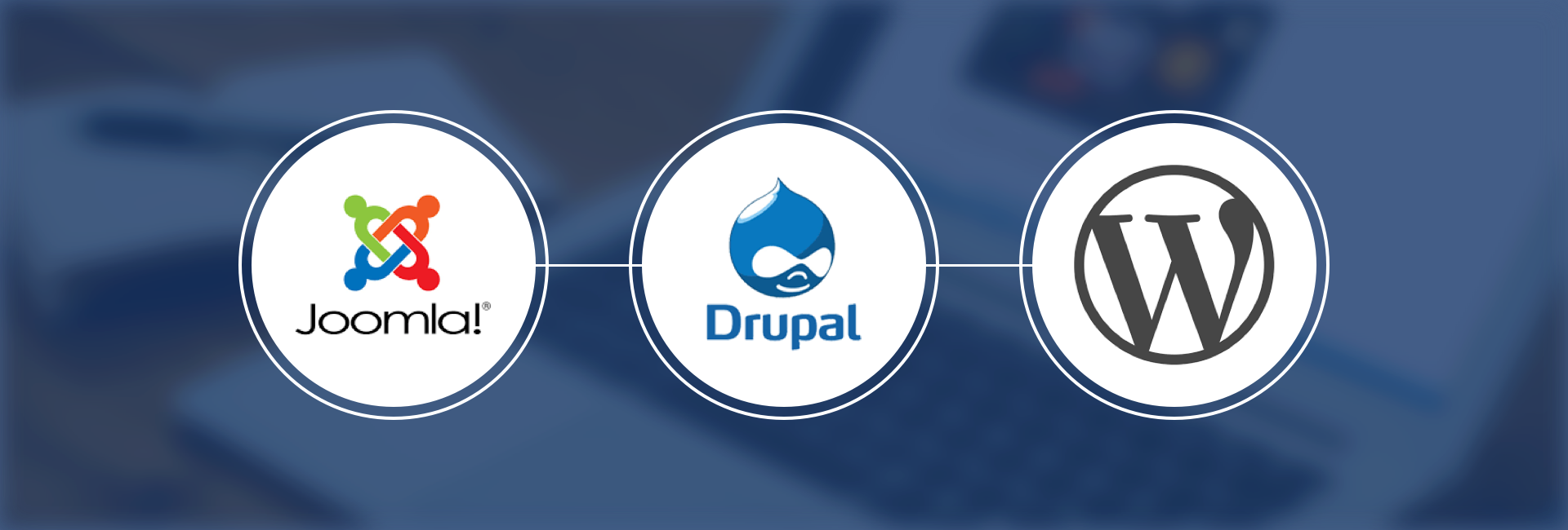 Download Logo Png Wordpress Drupal - Full Size PNG Image - PNGkit