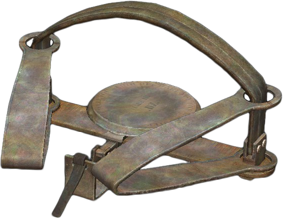 Download Closed Trap Bear Png - Full Size PNG Image - PNGkit