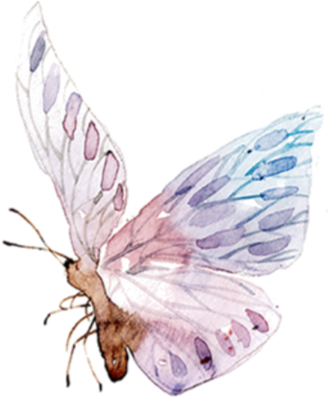 Download Watercolor Butterfly Freetoedit Ftestickers Wings Butterfly ...