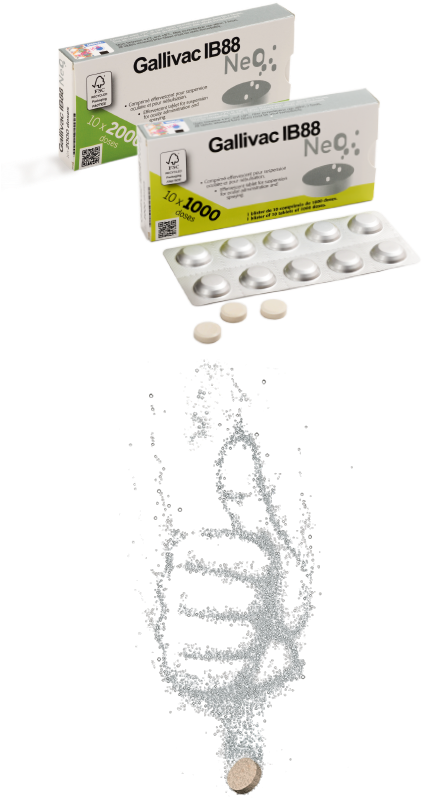 Download Gallivac Ib88 Neo - Full Size PNG Image - PNGkit