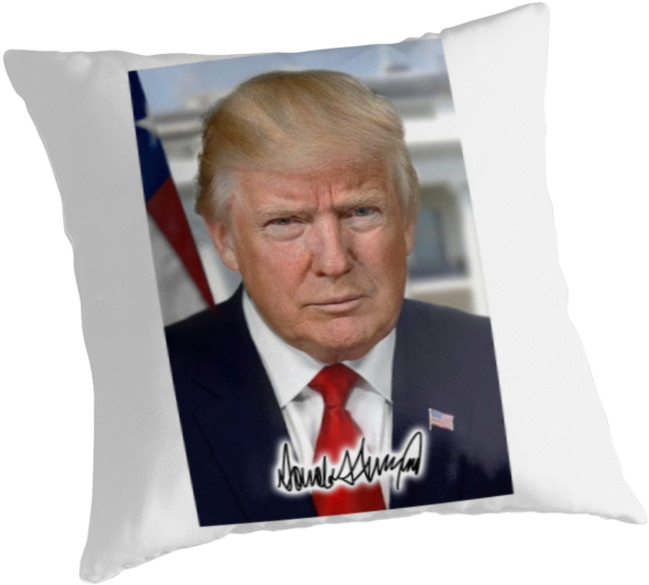 Download Donald Trump, 45th, President Of The United States - Full Size ...