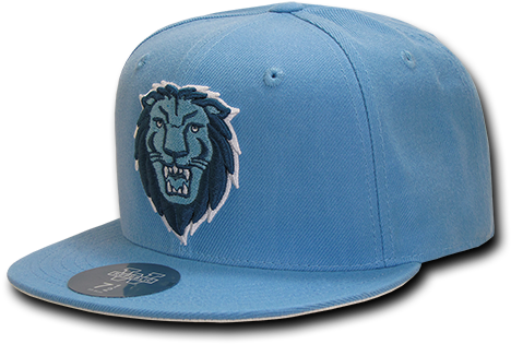 Download Ncaa Columbia University Freshmen College Fitted Caps - Sky ...