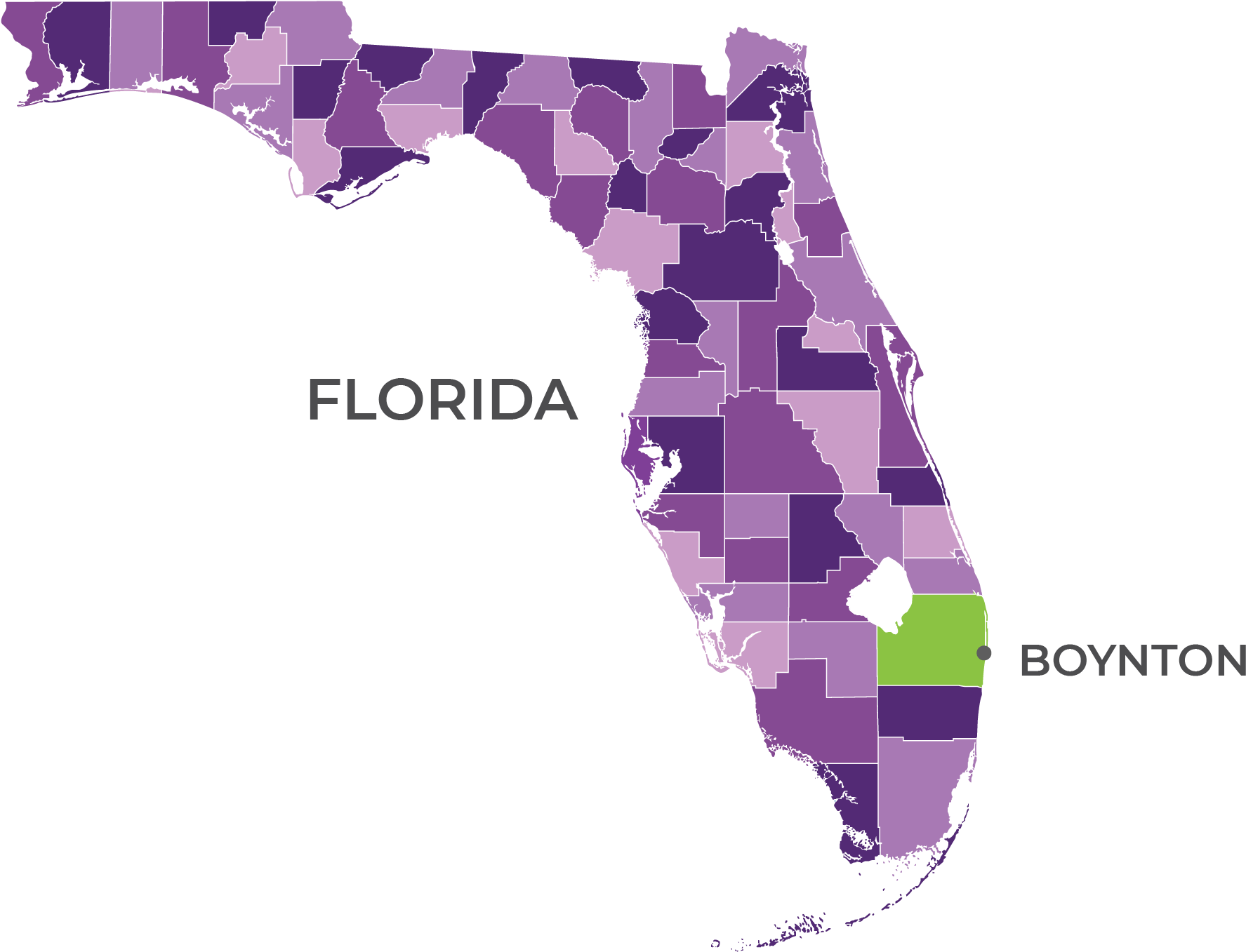 Download New Perspectives - Map Of Florida - Full Size PNG Image - PNGkit
