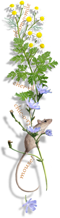 Download Evil Overlord Of The - Drawing - Full Size PNG Image - PNGkit