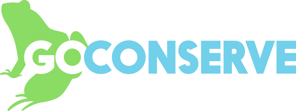 Download Custom Logo Design - Logo - Full Size PNG Image - PNGkit