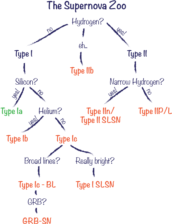 Download Sn Classification Scheme - Diagram - Full Size PNG Image - PNGkit