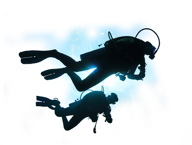 Download Scuba Diving - Full Size PNG Image - PNGkit