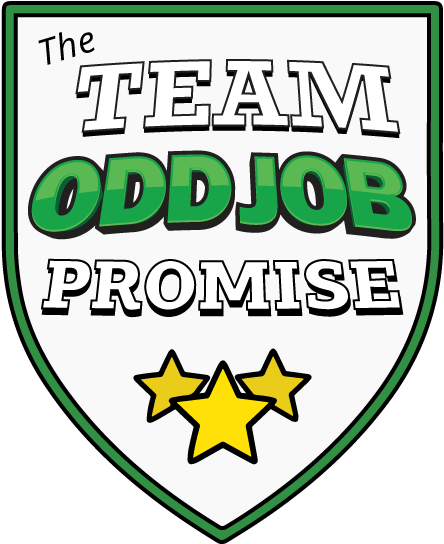 Download The Team Odd Job Promise - Art Print: Pop Ink - Csa Images ...