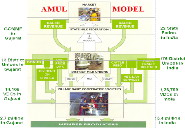 Download 1 The Amul Model - Distribution Channel Of Amul - Full Size ...