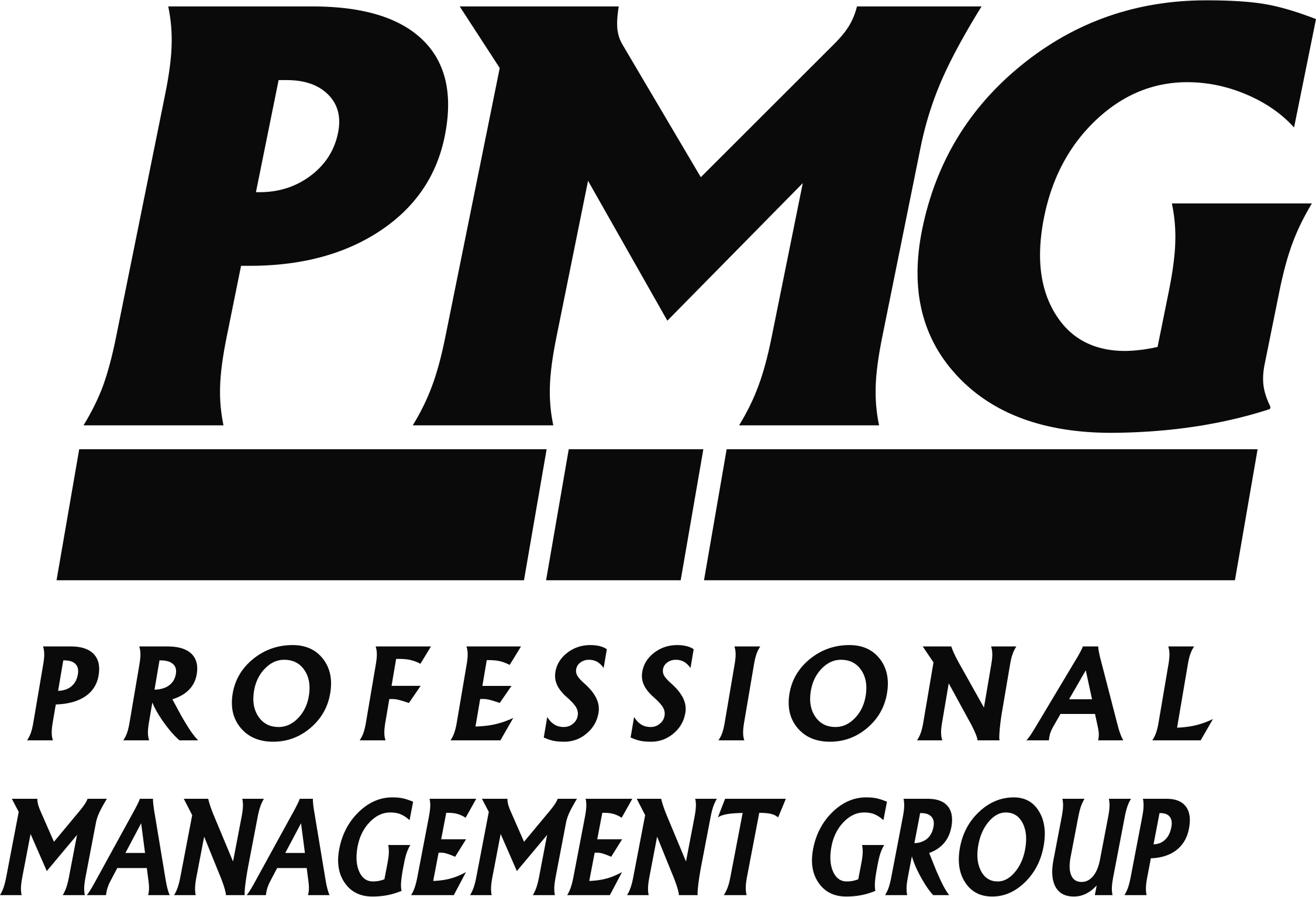 Download Professional Management Group Logo - Full Size PNG Image - PNGkit