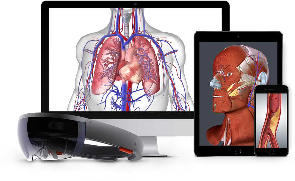 Download Biodigital Human Platform - Biodigital - Full Size PNG Image ...