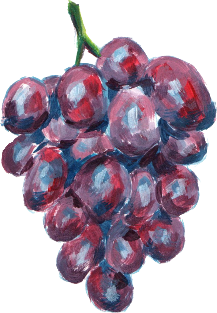 Download Transparent Png File Size - Date Palm - PNGkit