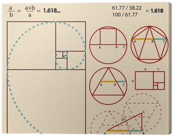 Download Golden Ratio, Golden Proportion Canvas Print • Pixers ...