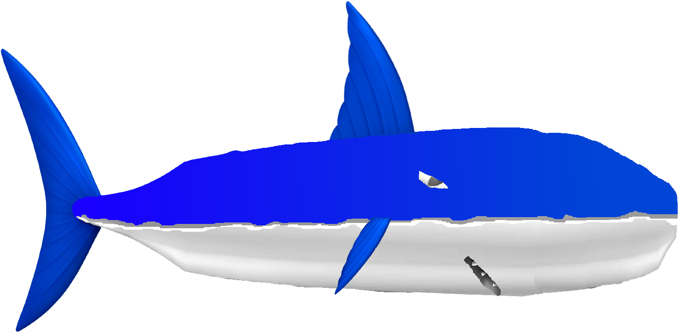 Download Sushi - New Super Mario Bros Sushi - Full Size PNG Image - PNGkit