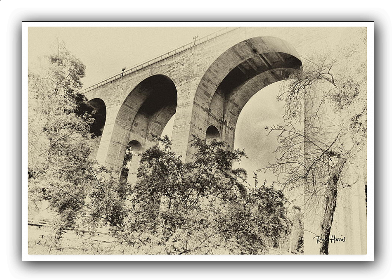 Download San Diego Photographer Sells Photo Of Cabrillo Bridge - San ...