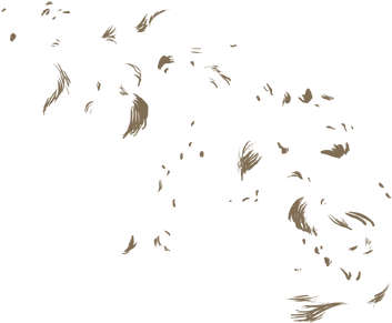 Download Flock - Full Size PNG Image - PNGkit