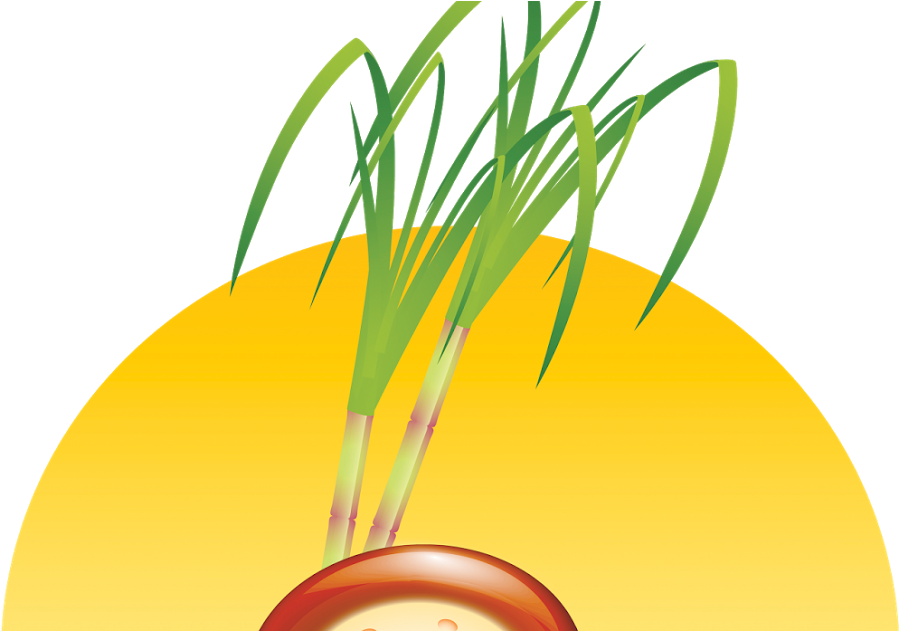 Download Mud Pongal Pot Vector - Full Size PNG Image - PNGkit