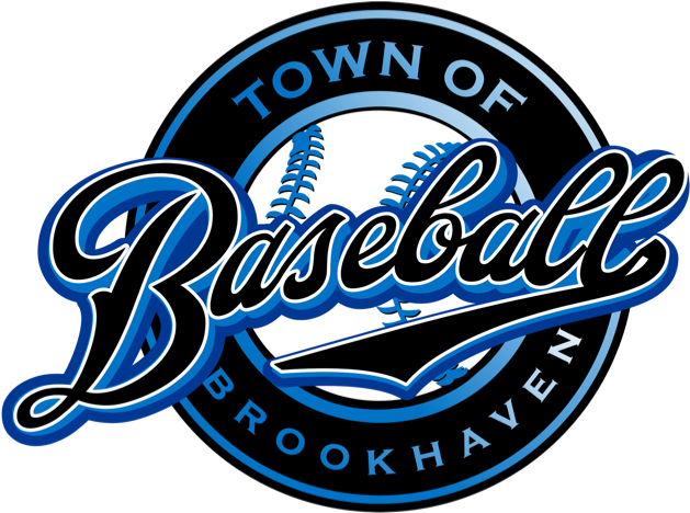Download 2019 Tob Baseball Online Team Registration Form - New York ...
