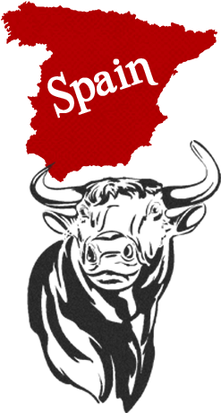 Download About Toro - Spain Map Ai - Full Size PNG Image - PNGkit