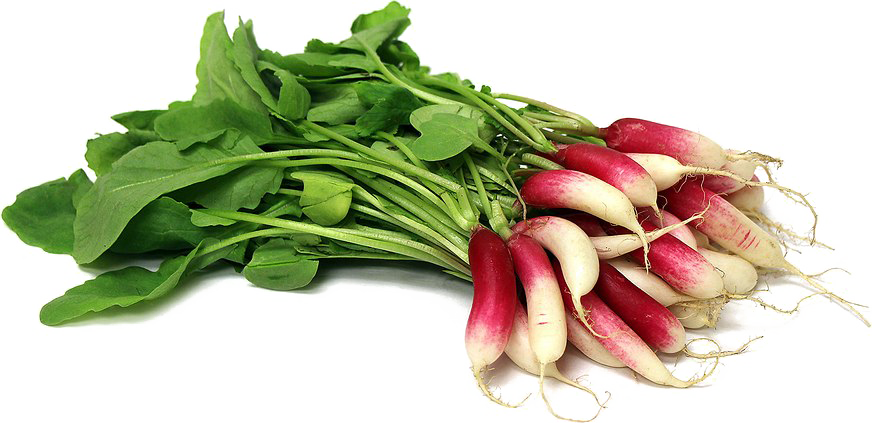 Download Radish Png Free Download - Radish Png - Full Size PNG Image ...
