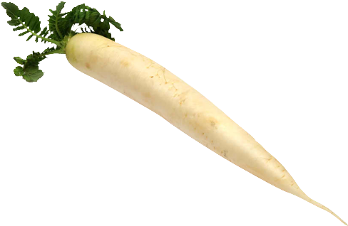 Download Mooli Png Clipart - Japanese Minowase (daikon) Radish Heirloom ...