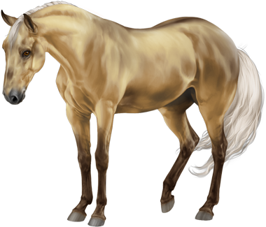 Download Currents - Equiverse Dark Grey - Full Size PNG Image - PNGkit