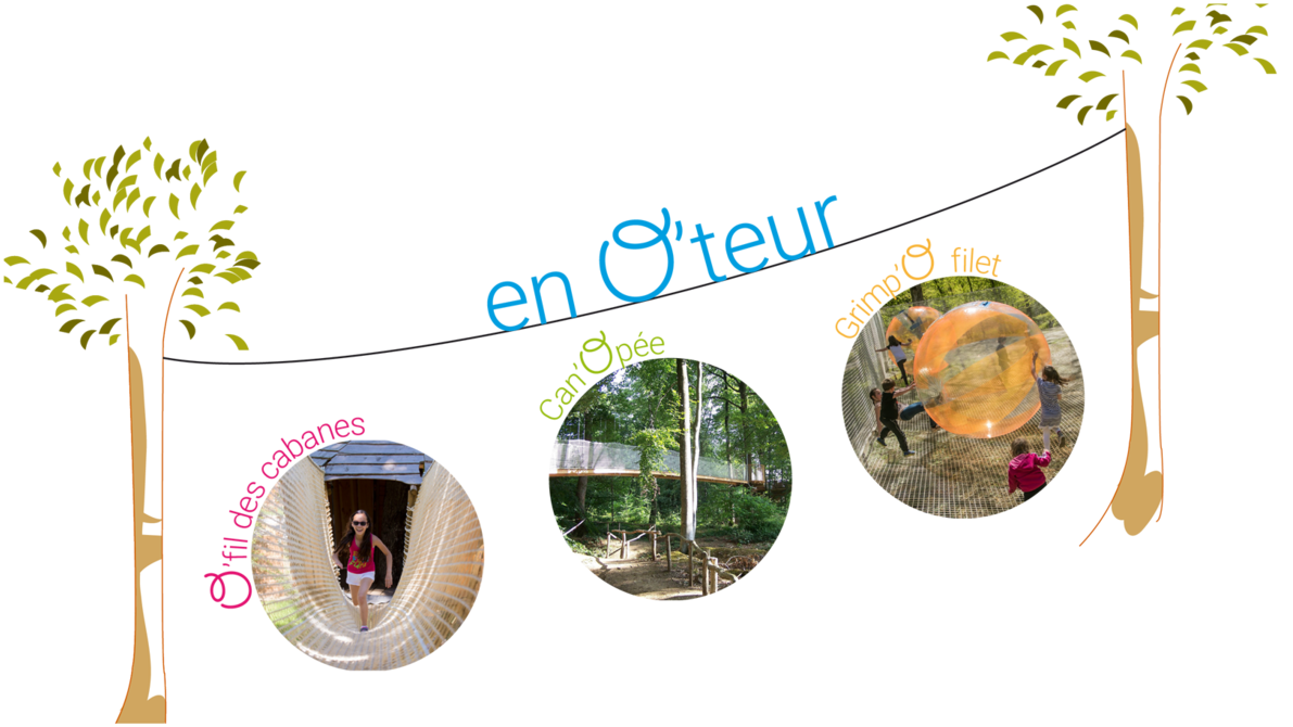 Download Aerial Game - Tree - Full Size PNG Image - PNGkit