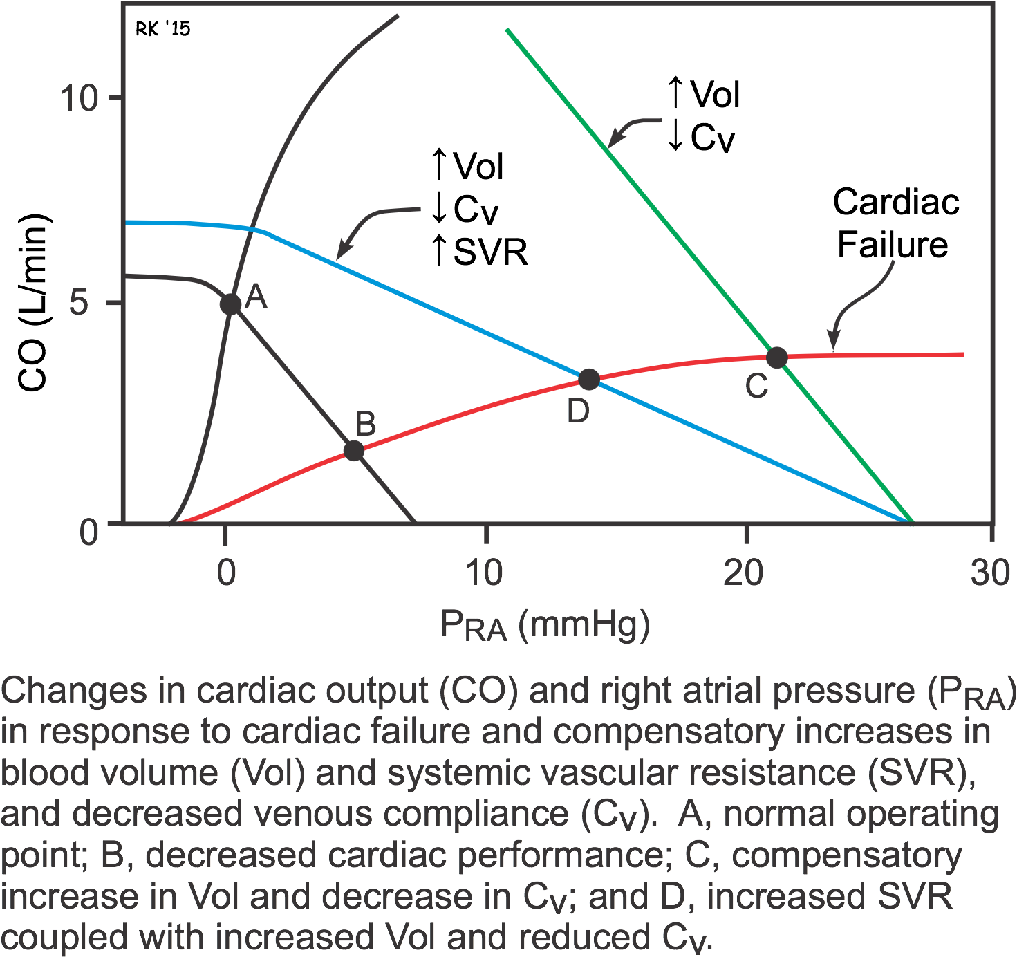 Download Hf003 Cardiac-vasc Funct Curves - Heart Failure Cardiac ...