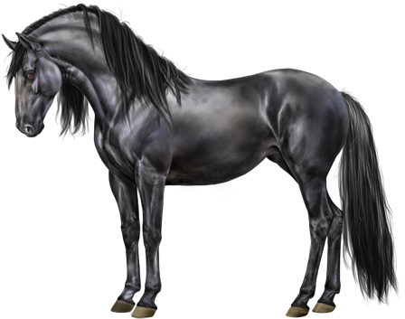 Download Dark Side Of The Moon - Black Horse Equiverse - Full Size PNG ...