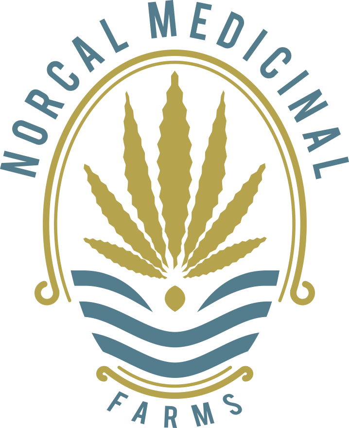 Download Ncm Is Launching Soon Sign Up To Be Notified - Prathyusha ...