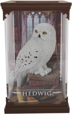Download Hedwig - Full Size PNG Image - PNGkit