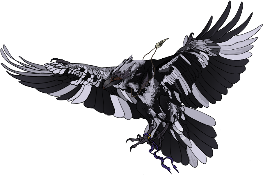 Download Mischievous - Raven Trickster - Full Size PNG Image - PNGkit