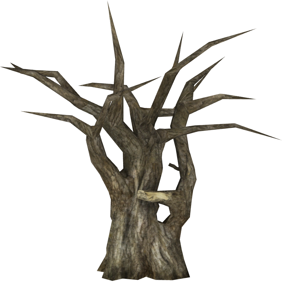 Download Leafless Raintree - Library - Full Size PNG Image - PNGkit
