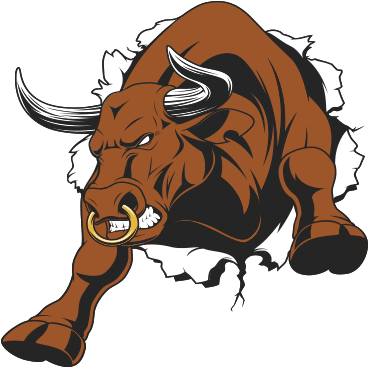 Download Bull Riding Chicago - Bull Snorting - Full Size PNG Image - PNGkit