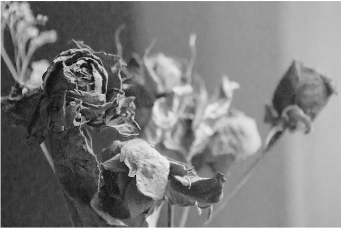 Download Monochrome - Full Size PNG Image - PNGkit