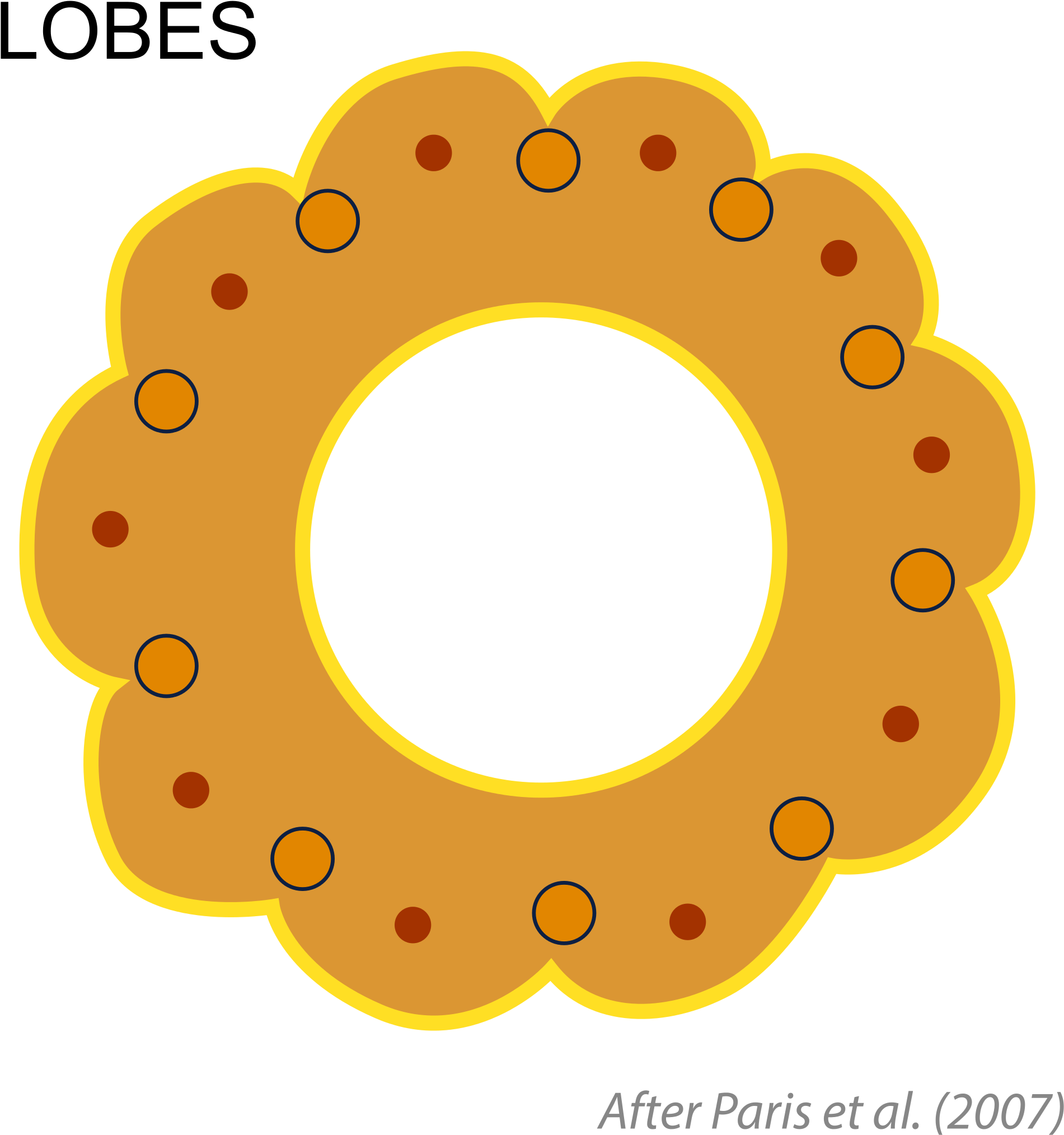 Download Open - Circle - Full Size PNG Image - PNGkit