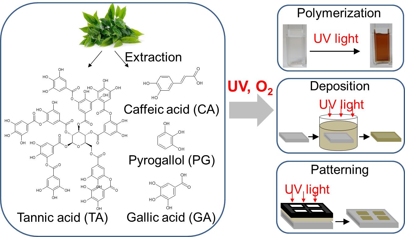 Download Uv-triggered Polymerization, Deposition And Patterning ...